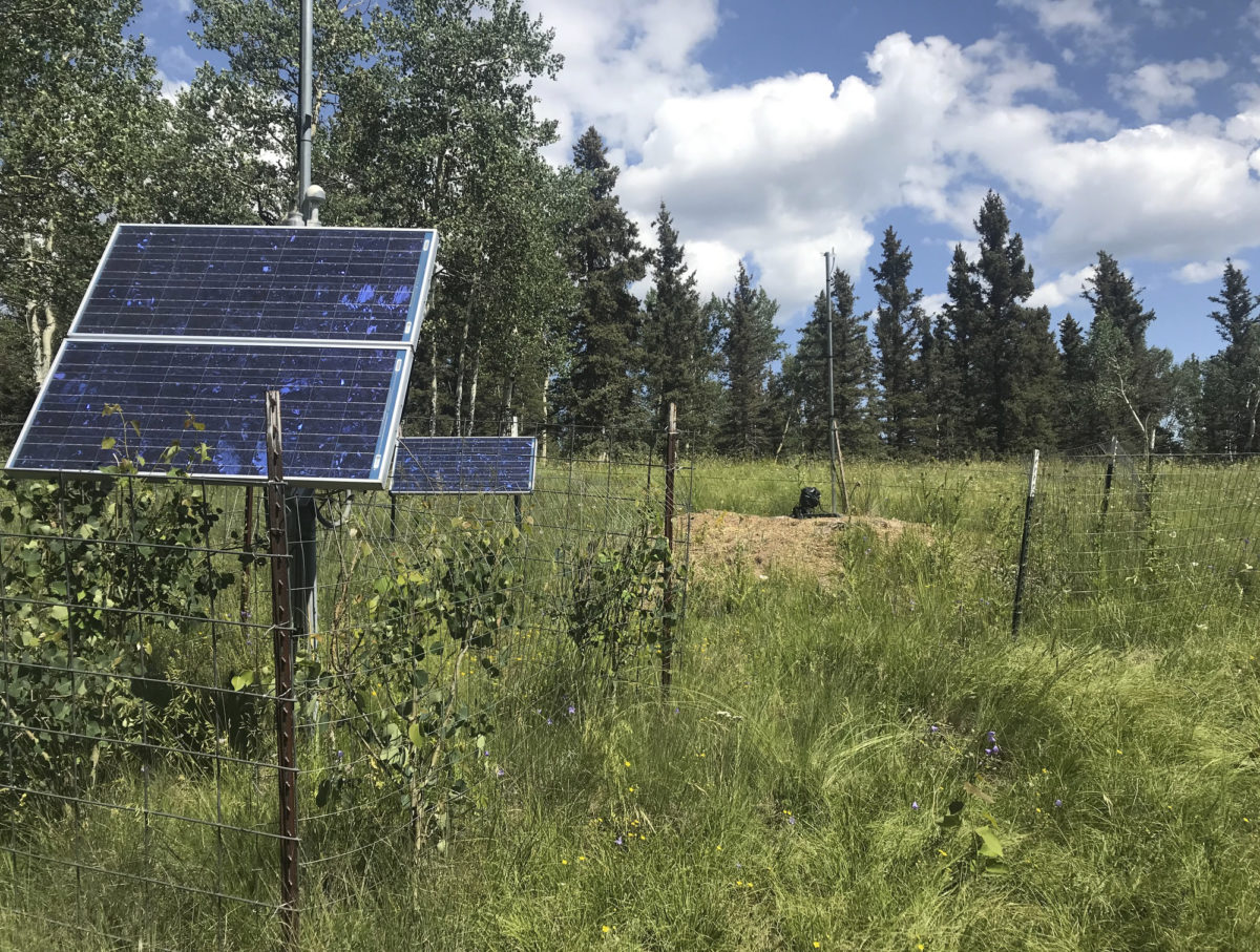 CGS Seismic Stations - Colorado Geological Survey - Colorado Geological ...