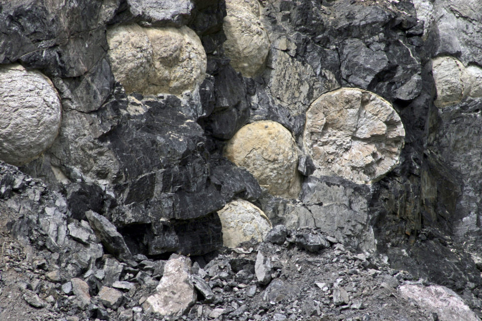 Colorado’s Uranium Deposits - Colorado Geological Survey - Colorado ...