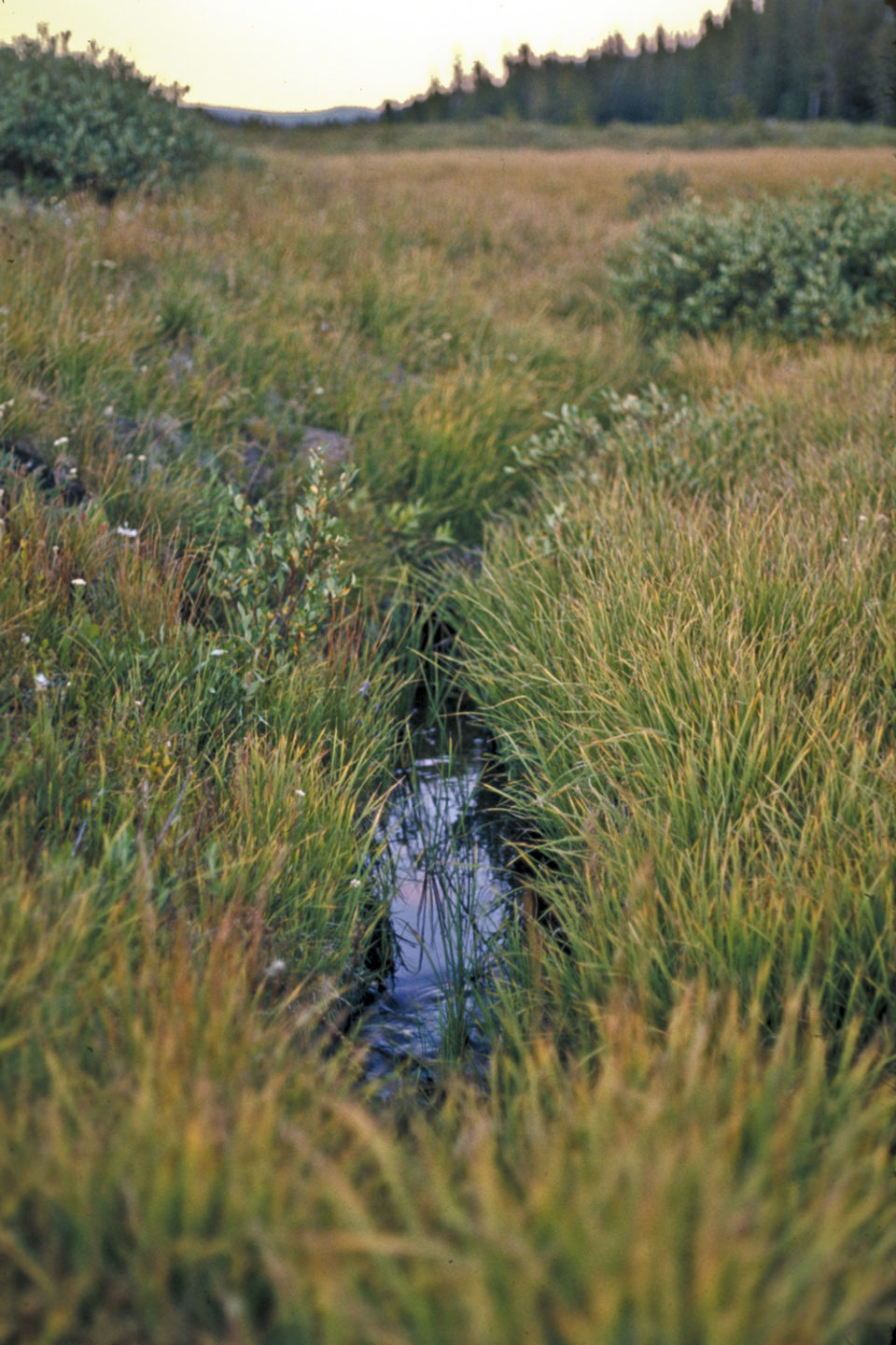 Colorado Water Plan 2023 - Colorado Geological Survey - Colorado ...