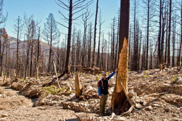 Debris and Mud Flows - Colorado Geological Survey